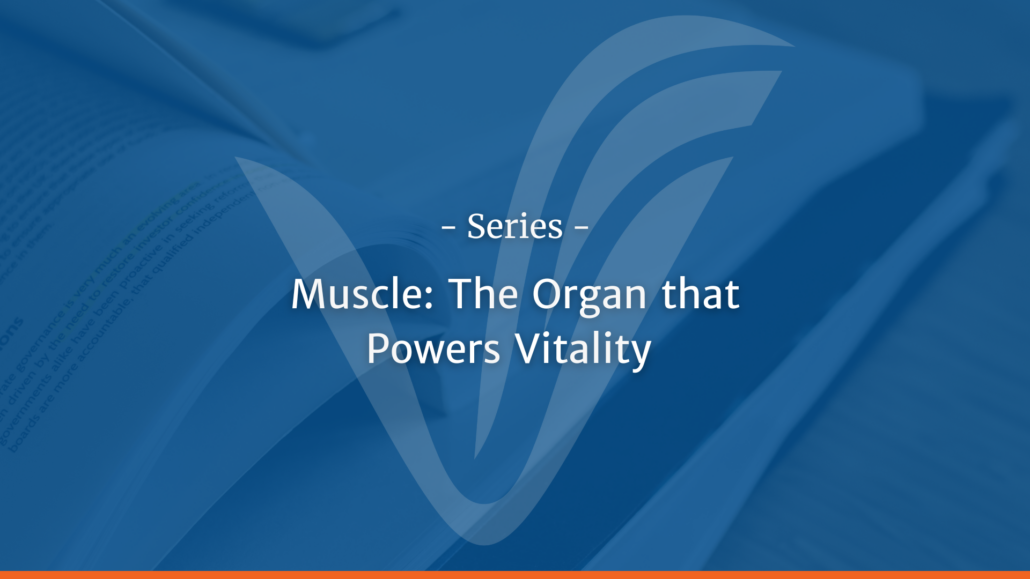 Part 5 - Reclaiming Strength and Rebuilding Lost Muscle - Vitality ...